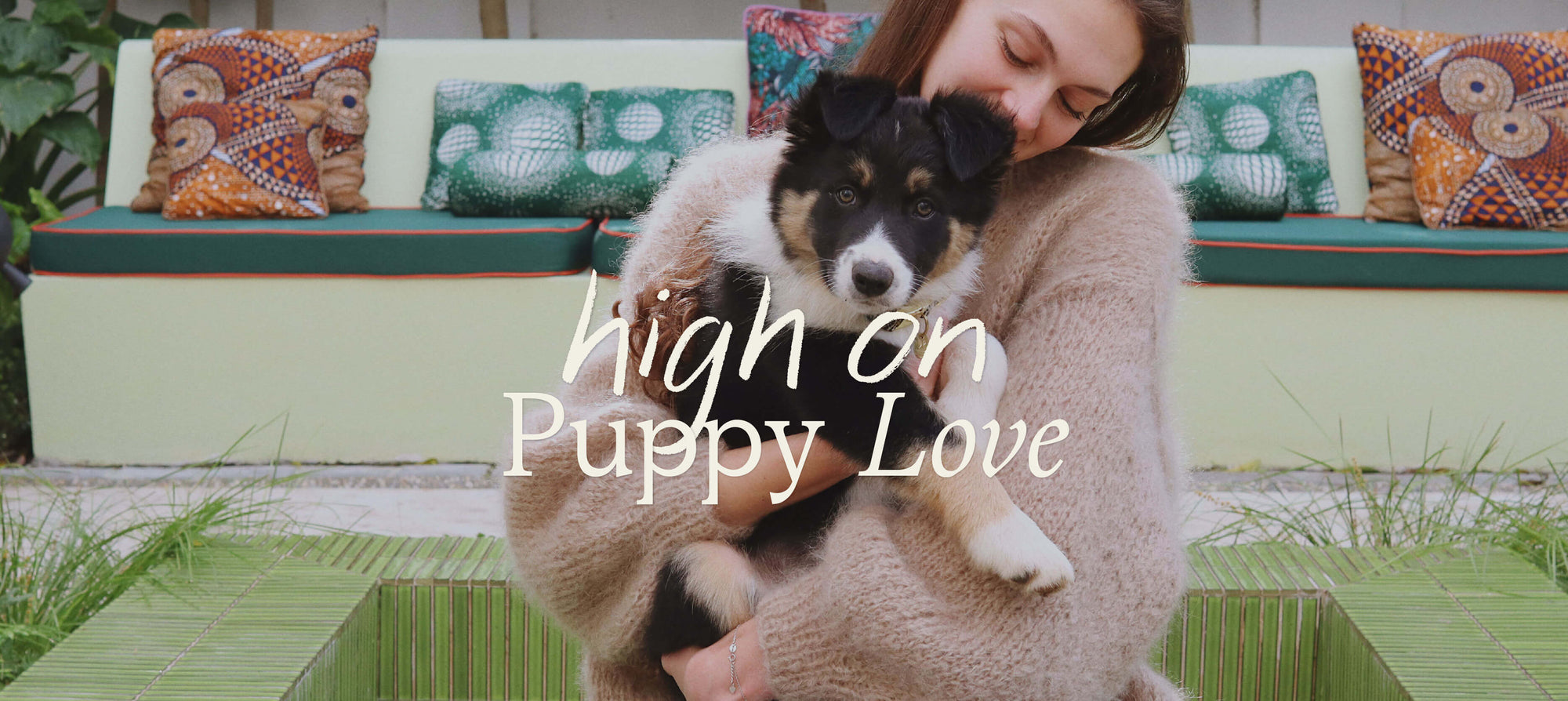 Colourful Luxury Accessories Created for Dogs and People who love them